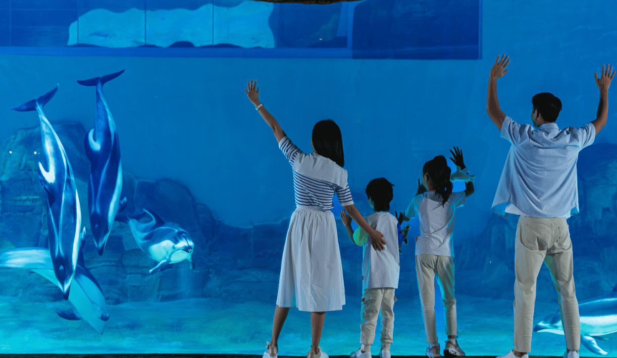 珠海長隆海洋王國攻略2025｜15大主題景點＋交通住宿推介 - Kinnso